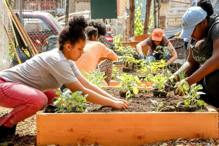 Gardening Life Community Project